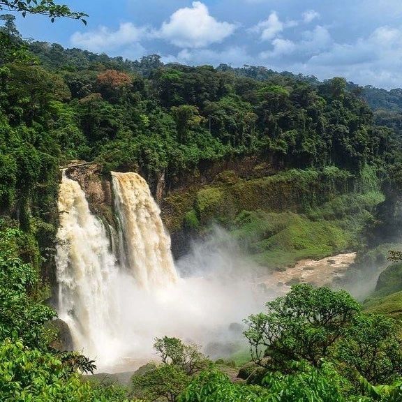 Kameroen: Petite Afrique - WeTravelEco