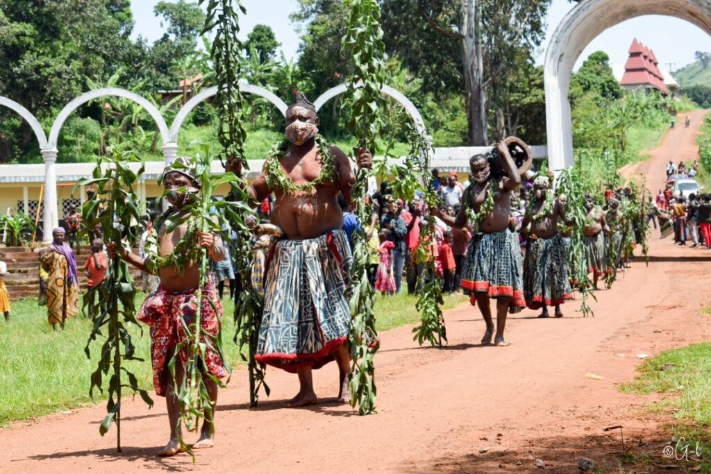 Kameroen: Petite Afrique - WeTravelEco