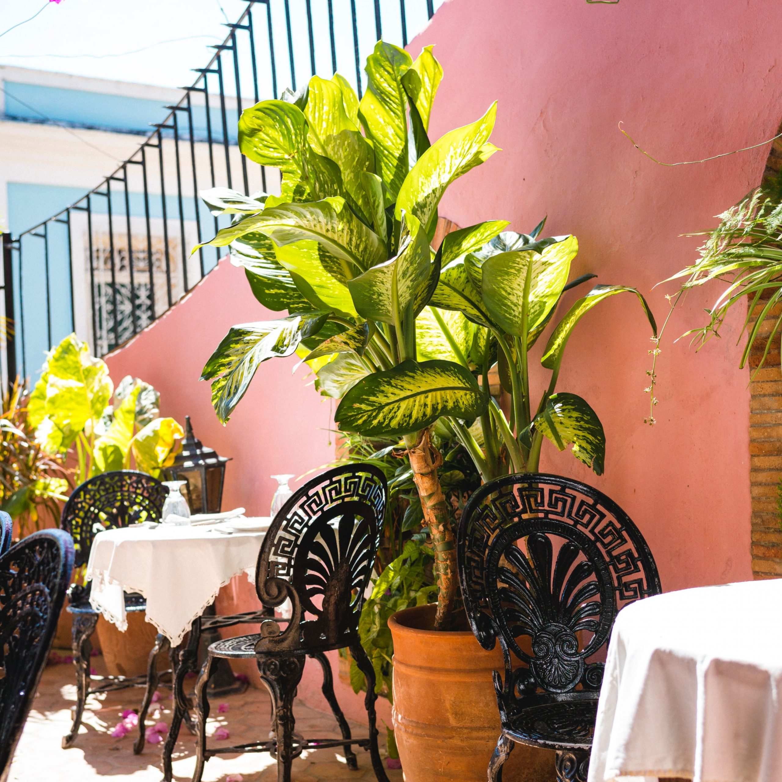 Cuba: Van Havana via Viñales naar Trinidad - WeTravelEco